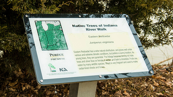 Native Trees of Indiana River Walk - Purdue Fort Wayne