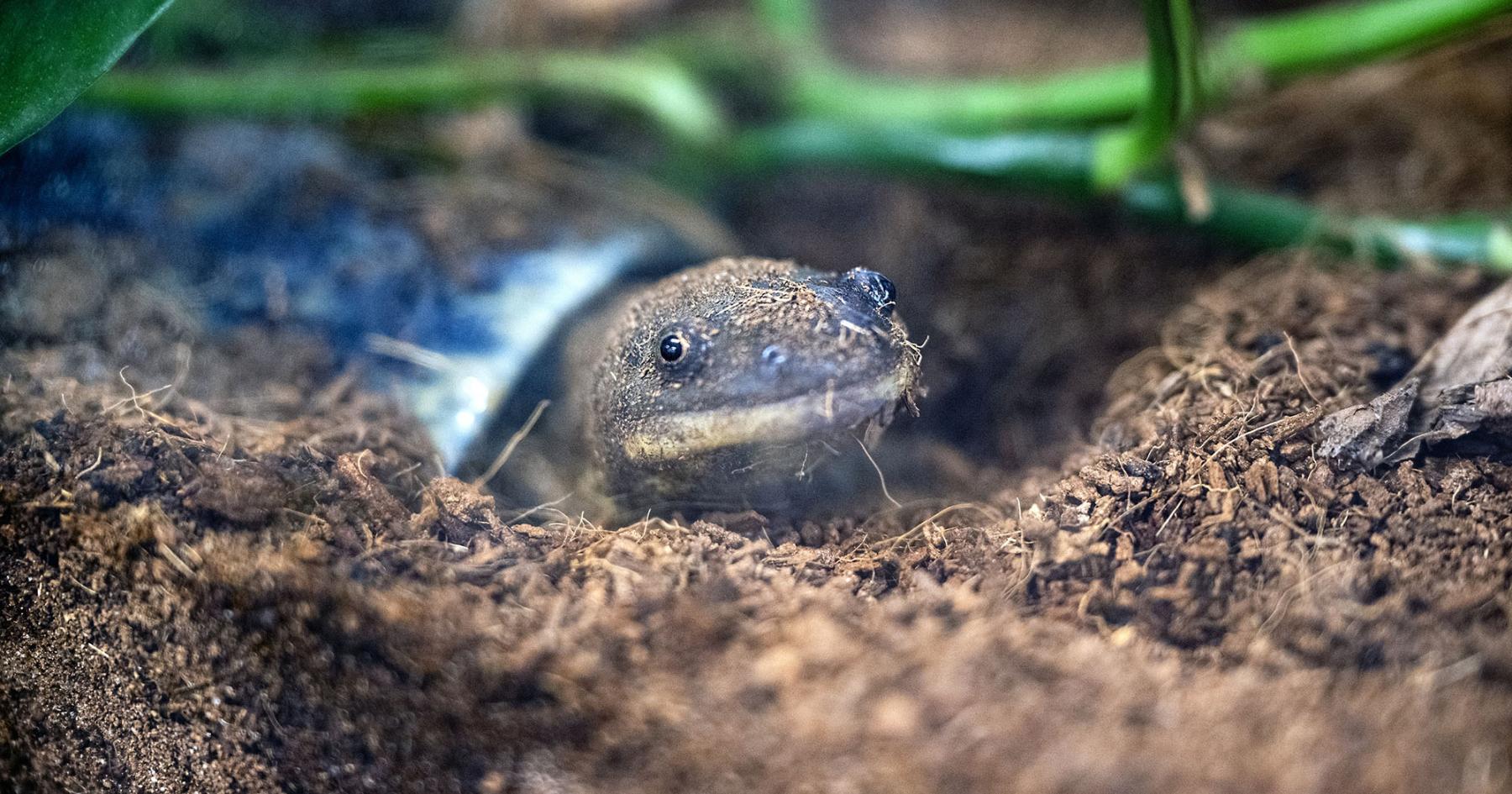 Environmental Resources Center’s purpose continues to expand as the ...