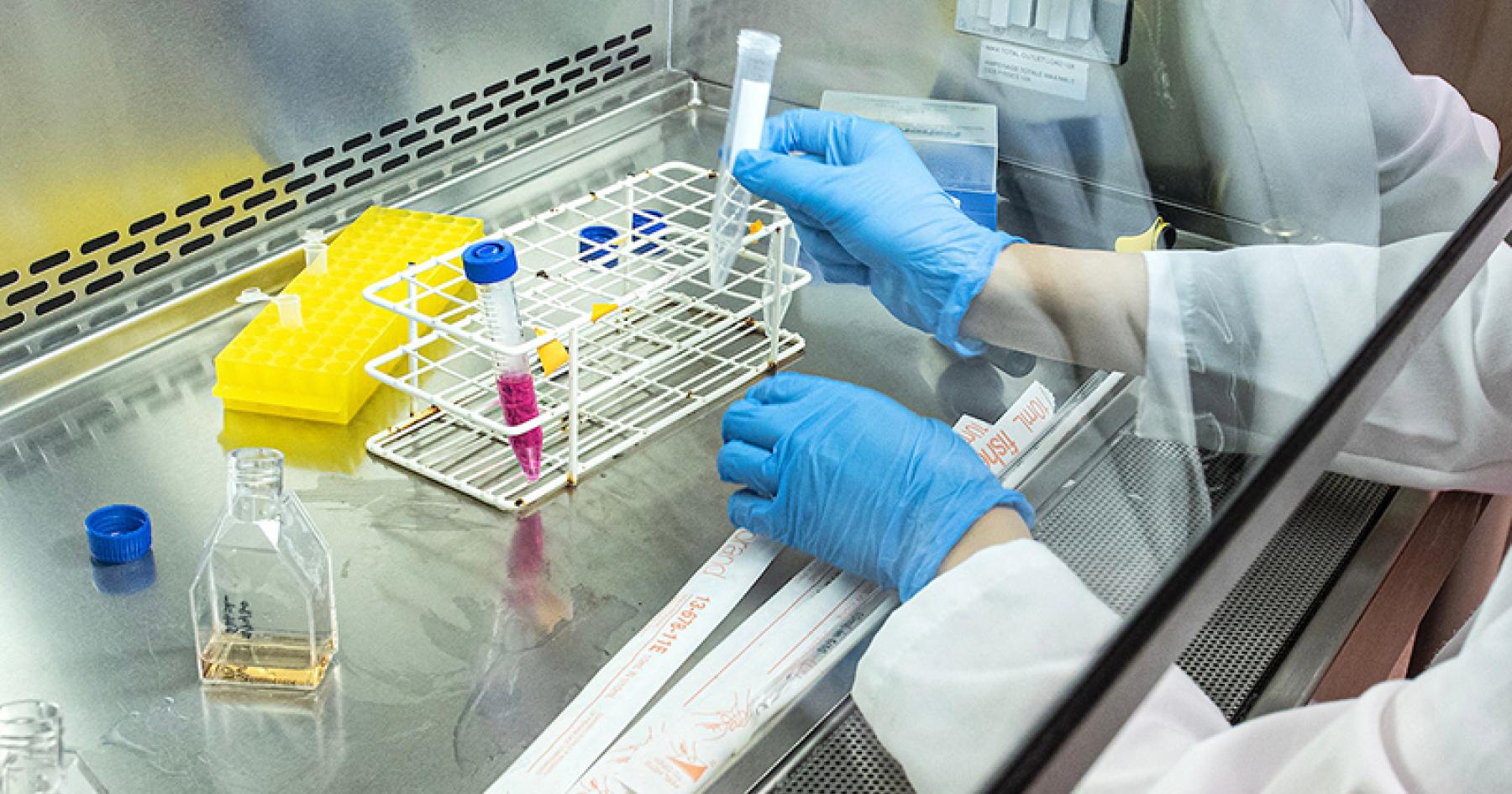 Beta Beta Beta | Purdue University Fort Wayne