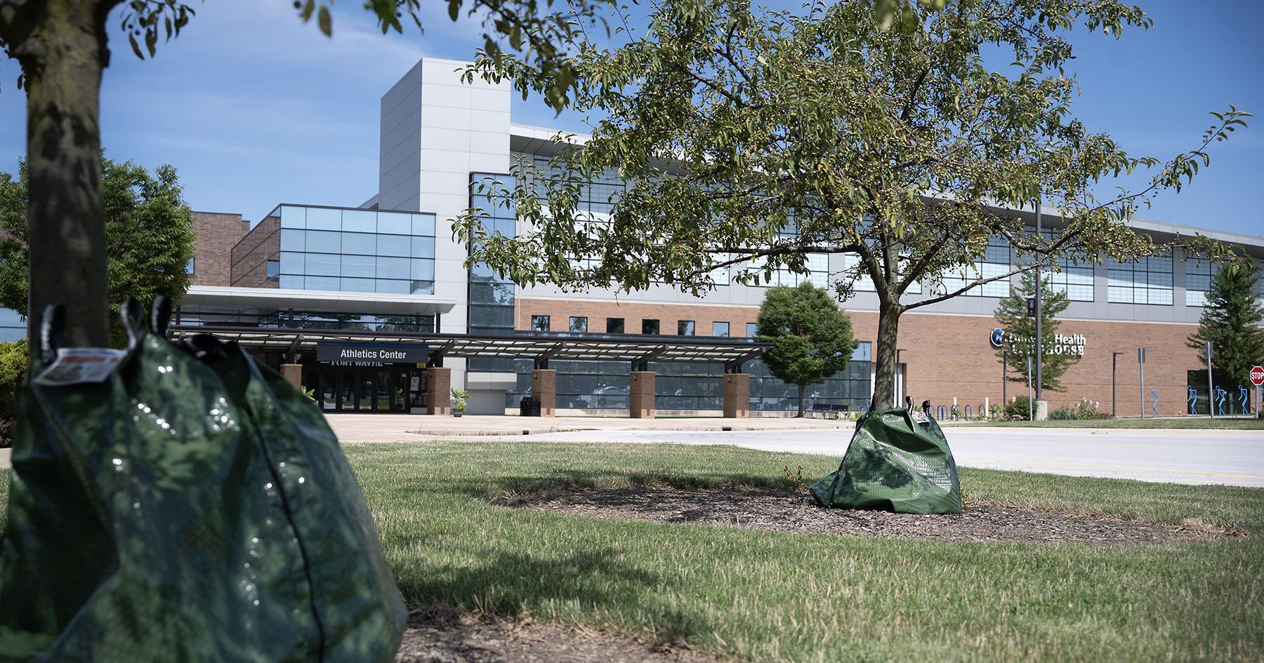 Grounds crew completes planting of new trees on campus | Purdue ...